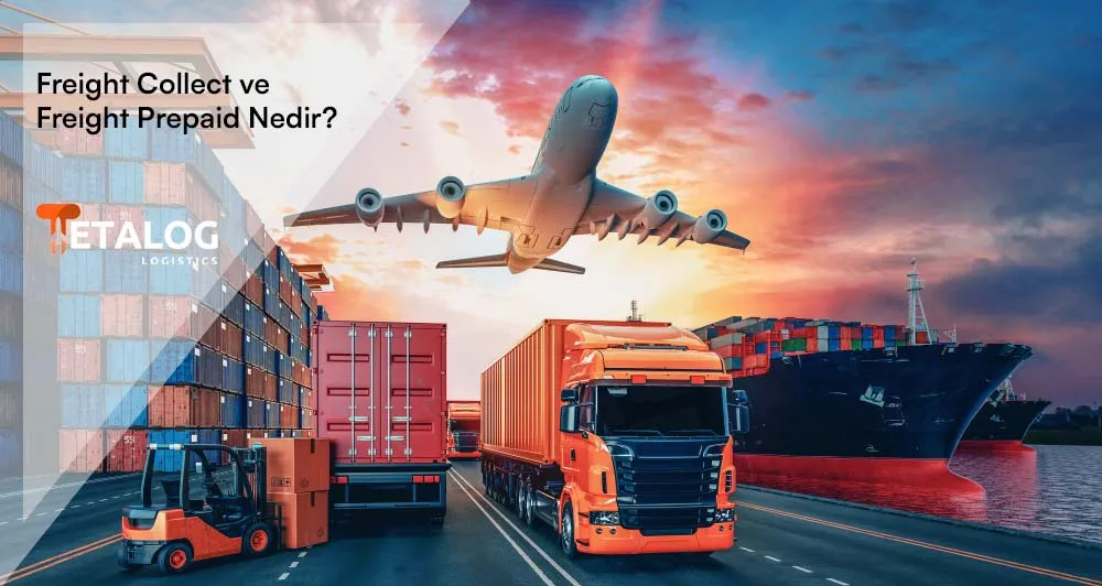 What are Freight Collect and Freight Prepaid? - Tetalog Logistics